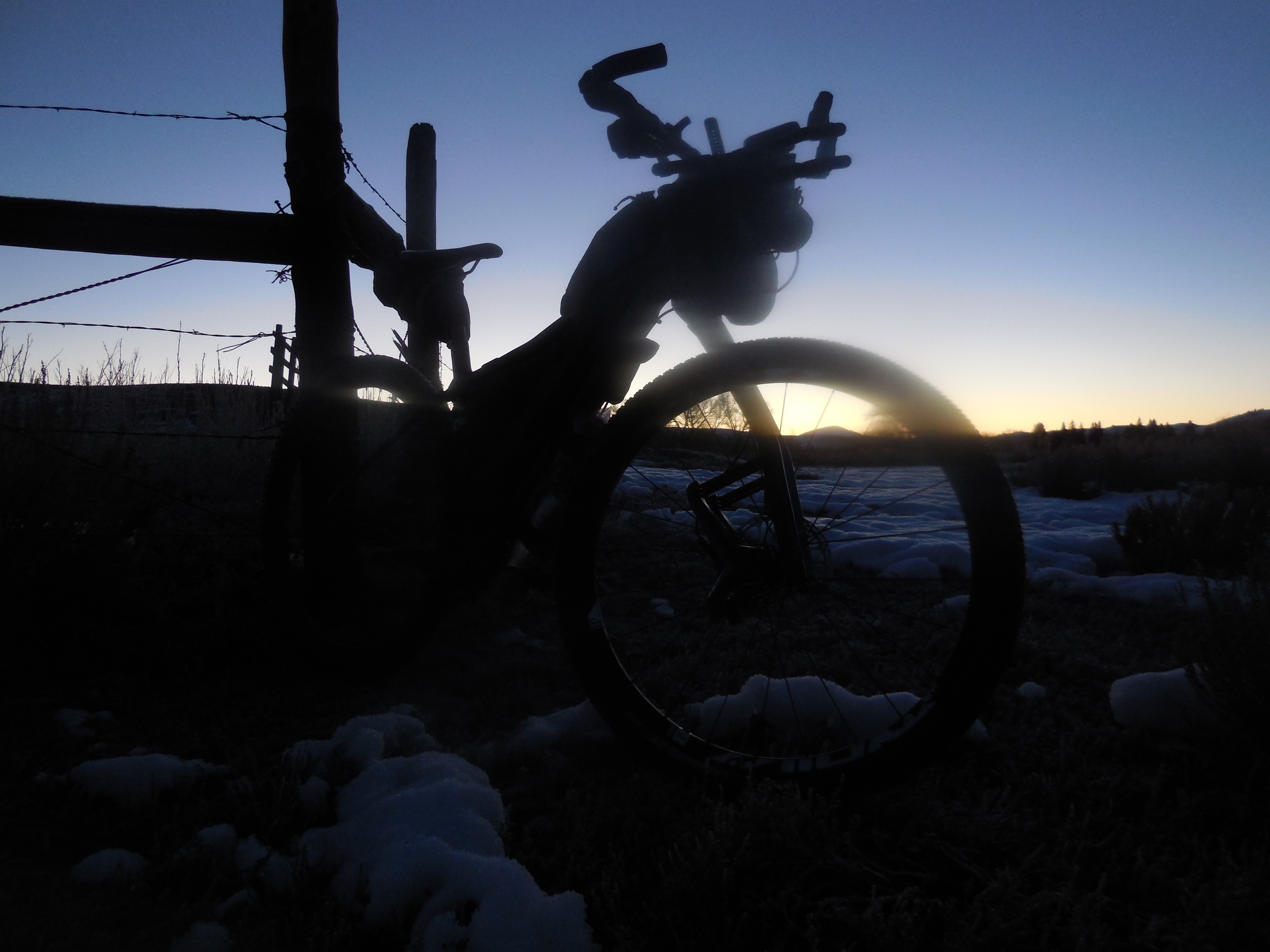 plugging away | jwookieone